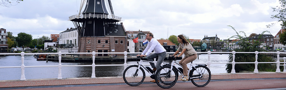 Optima Cycles Trading